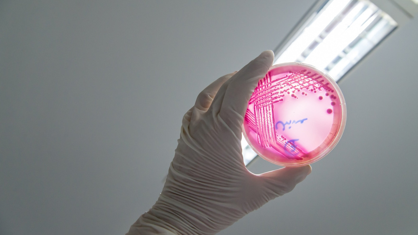 Zehn neue Ehec-Fälle binnen eines Tages | APOTHEKE ADHOC