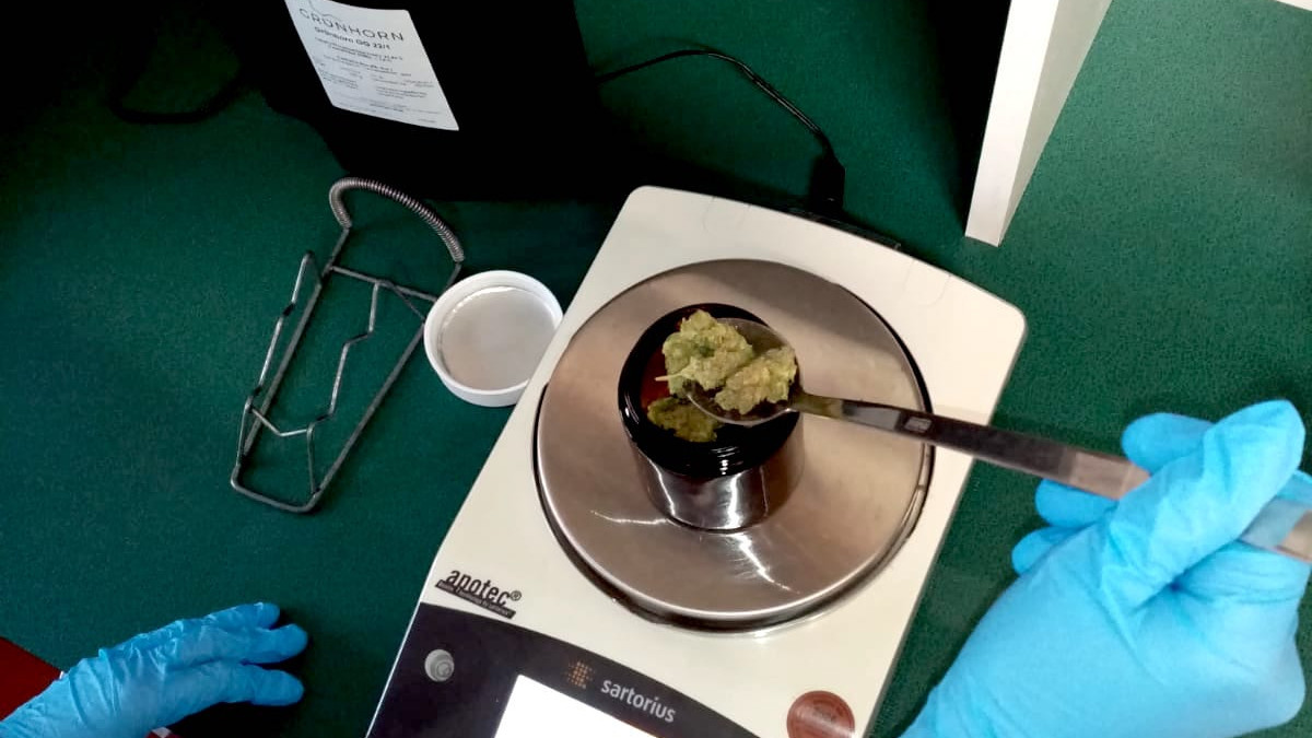 Cannabis-Versandverbot: „Mir droht Insolvenz“ | APOTHEKE ADHOC