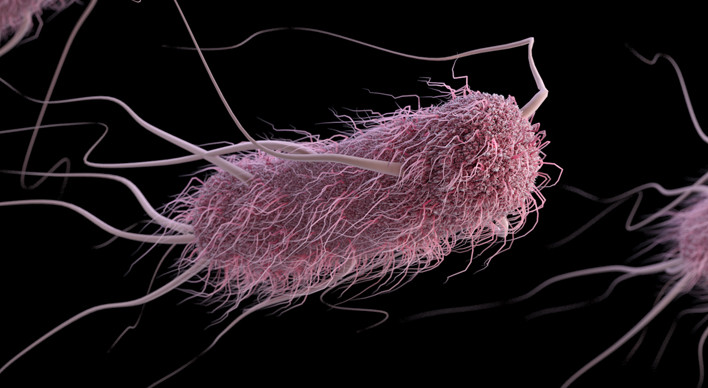 StroVac: Impfung gegen Harnwegsinfekte | APOTHEKE ADHOC