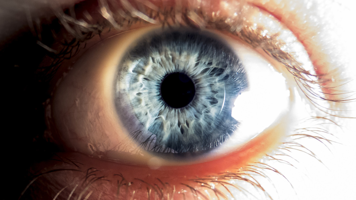 Endlich heilbar: Zwei Jahre Luxturna | APOTHEKE ADHOC