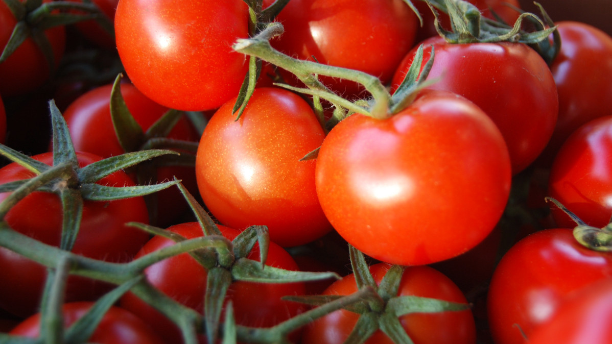 Wenn die Tomate Juckreiz verursacht | APOTHEKE ADHOC