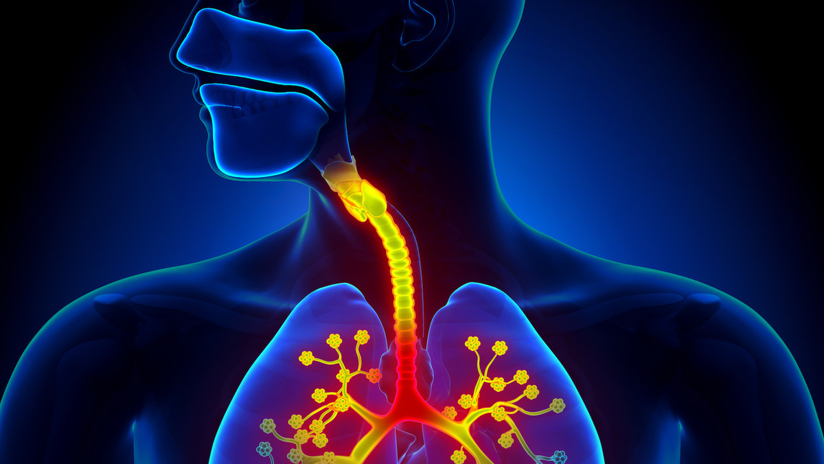 An obere und untere Atemwege denken | APOTHEKE ADHOC