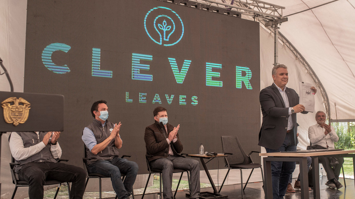 Clever Leaves exportiert Cannabis aus Kolumbien | APOTHEKE ADHOC