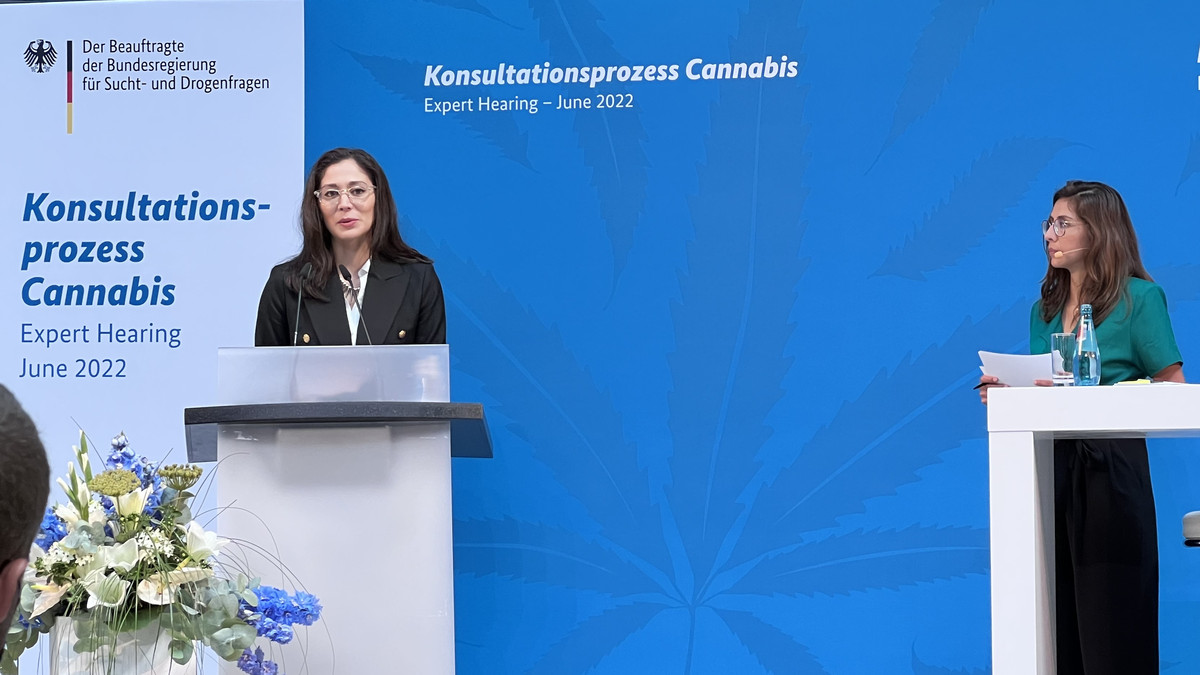 Bundesregierung hört Cannabis-Experten an | APOTHEKE ADHOC