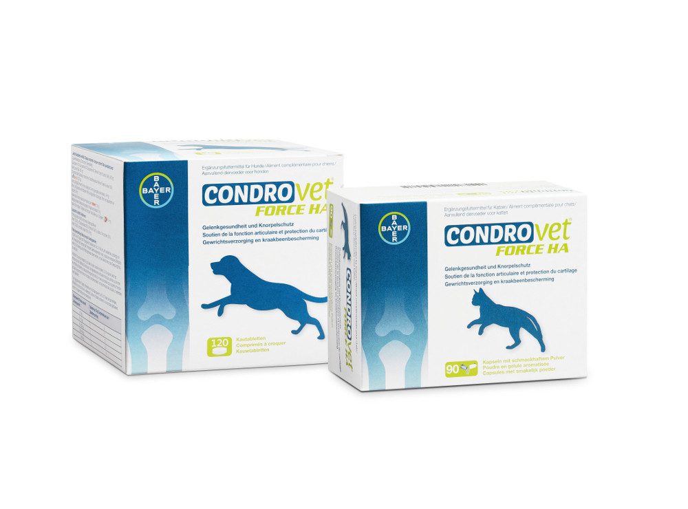 Condrovet® Force HA für starke Gelenke von Hunden und Katzen | APOTHEKE ...