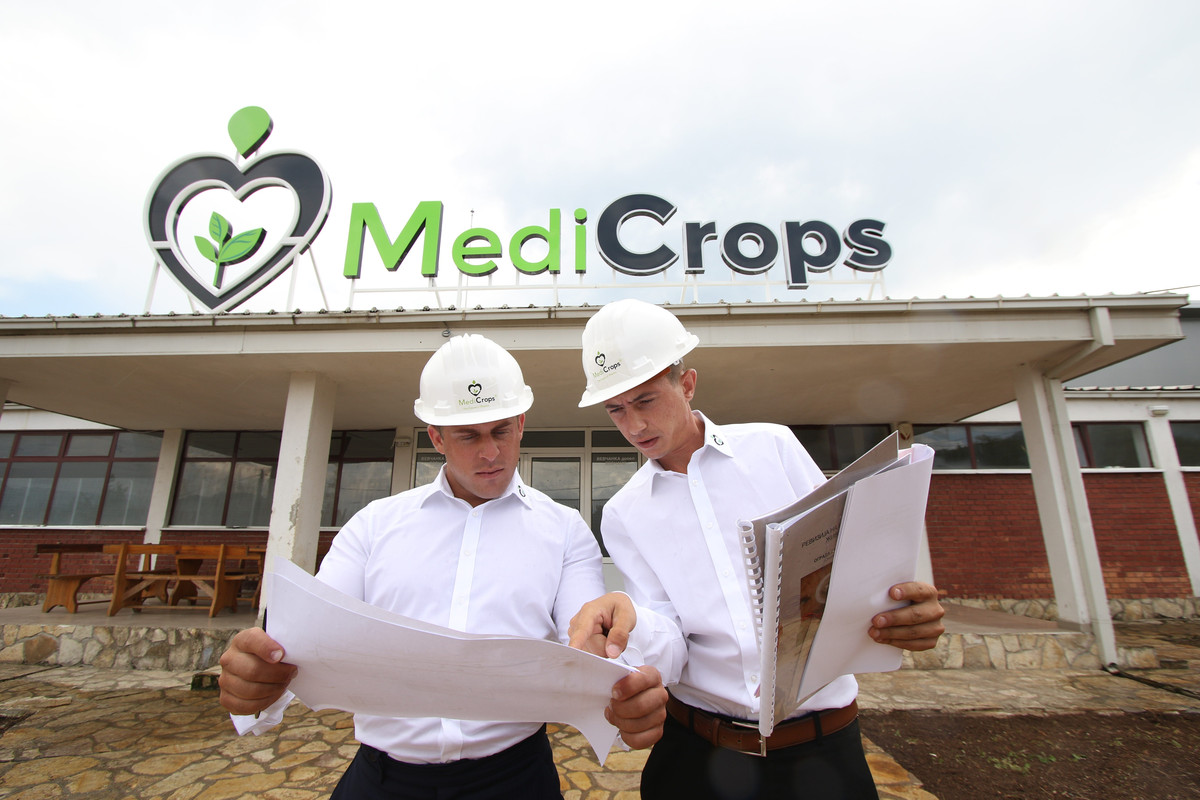 MediCrops – das erste Schweizer Pharmaunternehmen, das THC-haltige ...