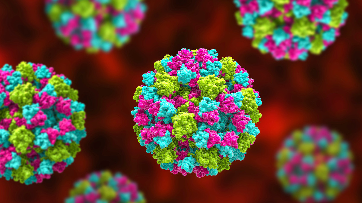 Noroviren: Gefürchtet in Kita und Krankenhaus | APOTHEKE ADHOC