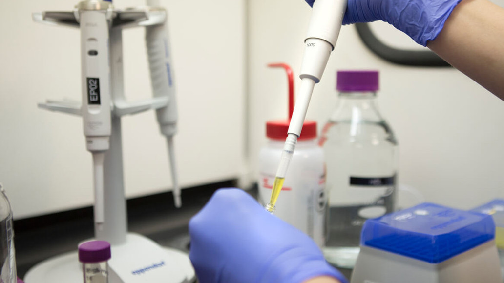 Dronabinol: Dermapharm übernimmt Spectrum | APOTHEKE ADHOC