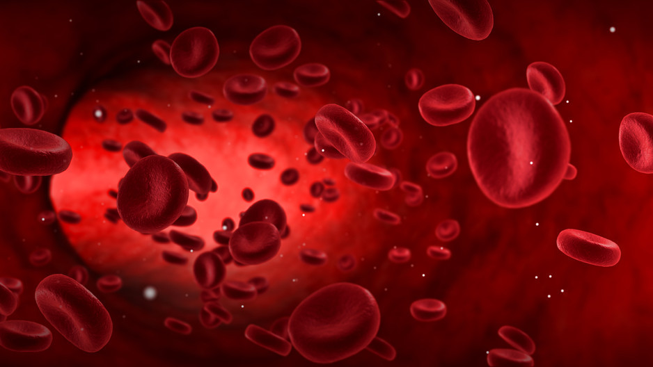 Sepsis unter ClinOleic | APOTHEKE ADHOC