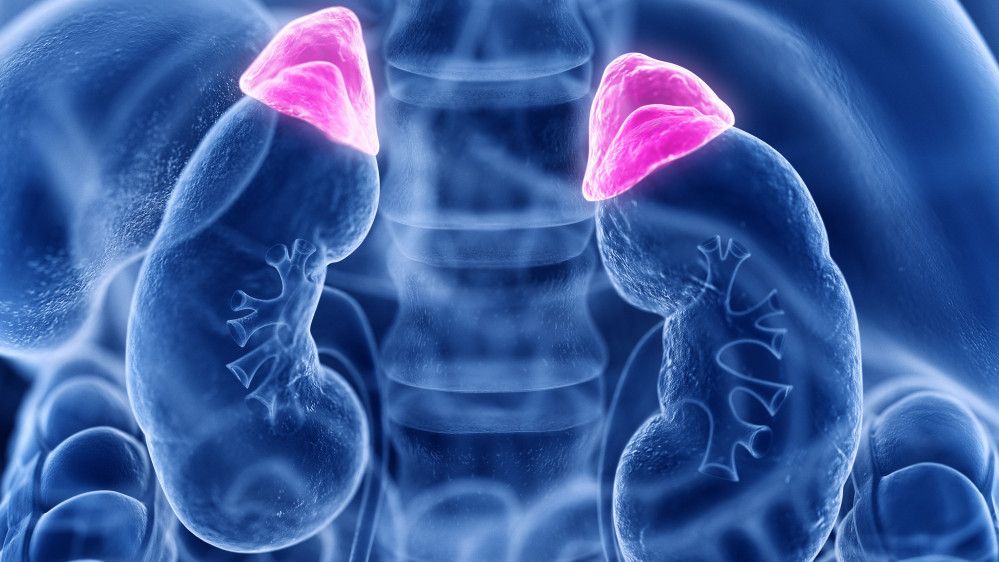 Isturisa: Option bei Morbus Cushing | APOTHEKE ADHOC