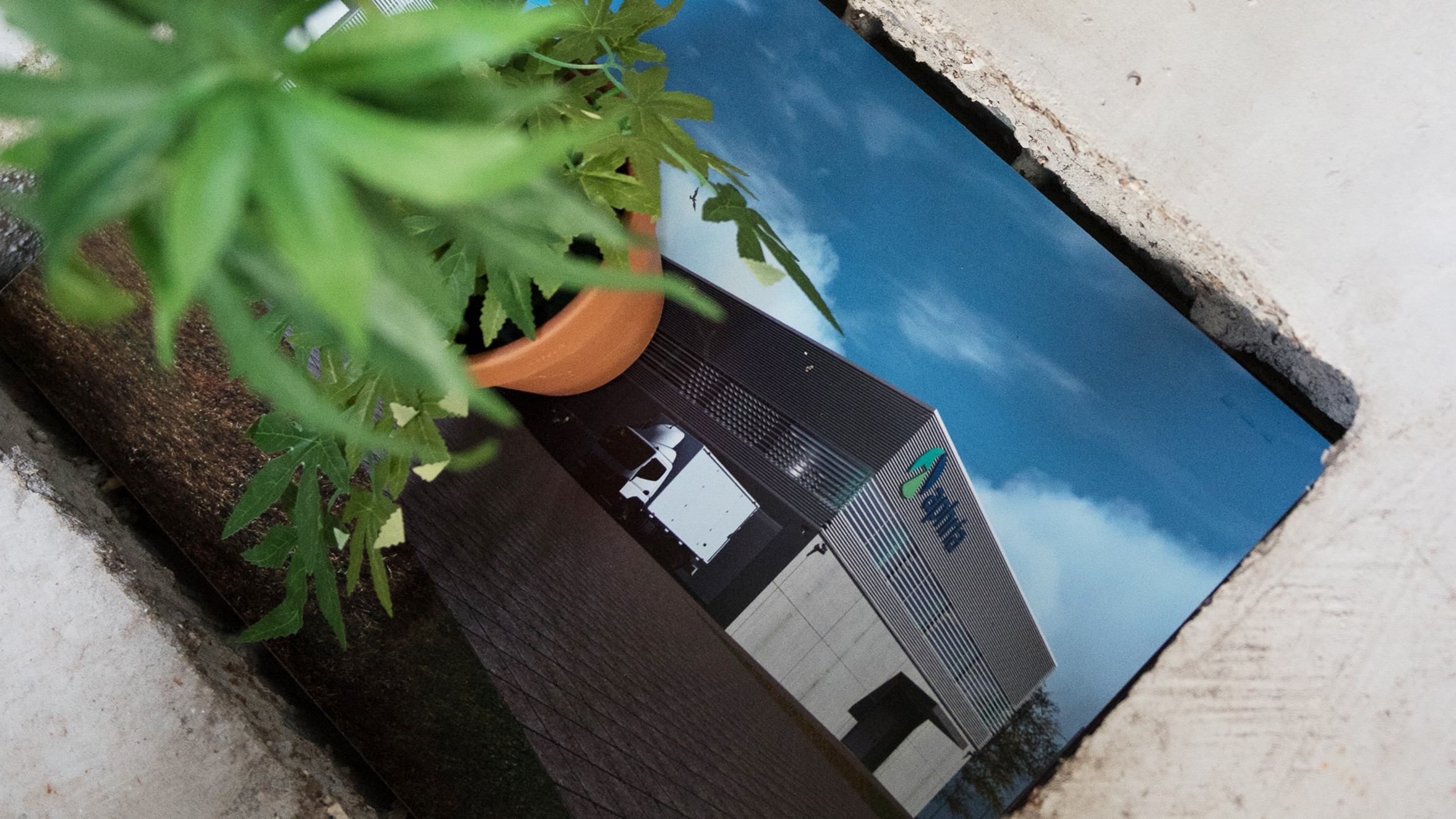 Tilray und Aphria fusionieren | APOTHEKE ADHOC