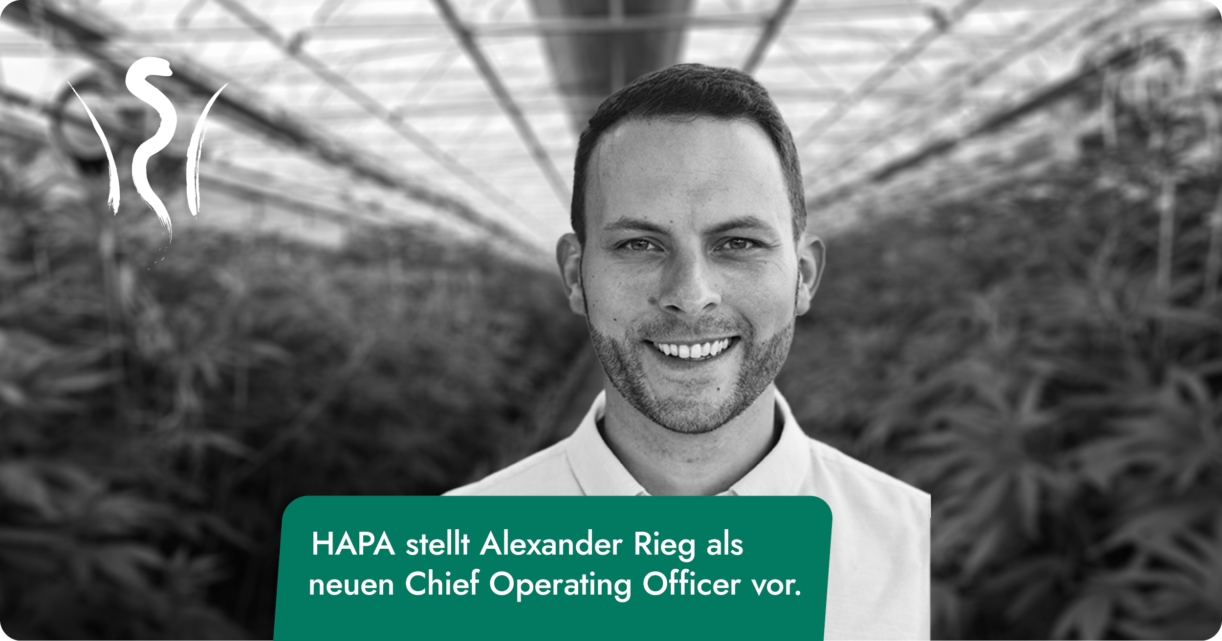 HAPA stellt Alexander Rieg als neuen Chief Operating Officer vor ...