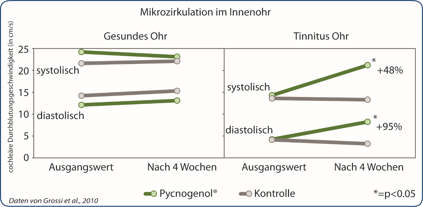 Pycnogenol® wirksam bei der Linderung von Tinnitus-Symptomen | APOTHEKE ...